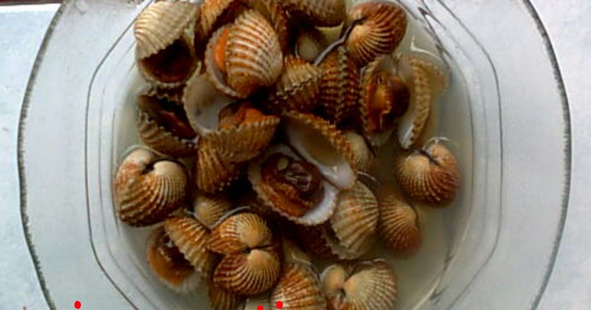 Resep Kerang Rebus Bumbu Kunci Sedaaapp oleh Bunda Irmawati - Cookpad