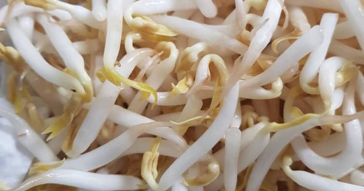 Resipi Taugeh tahan lama oleh jennybib - Cookpad