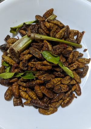 Fried Silkworms (Dak Dtae/Hon Mhai) Recipe By Helena