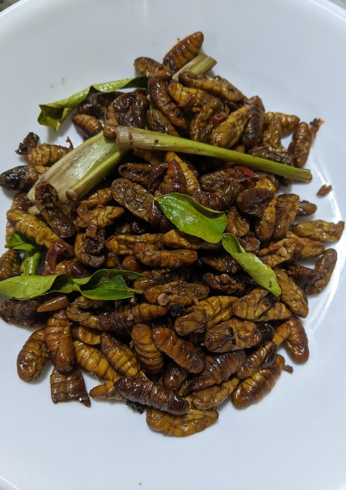 Fried Silkworms (Dak Dtae/Hon Mhai) Recipe by Helena - Cookpad
