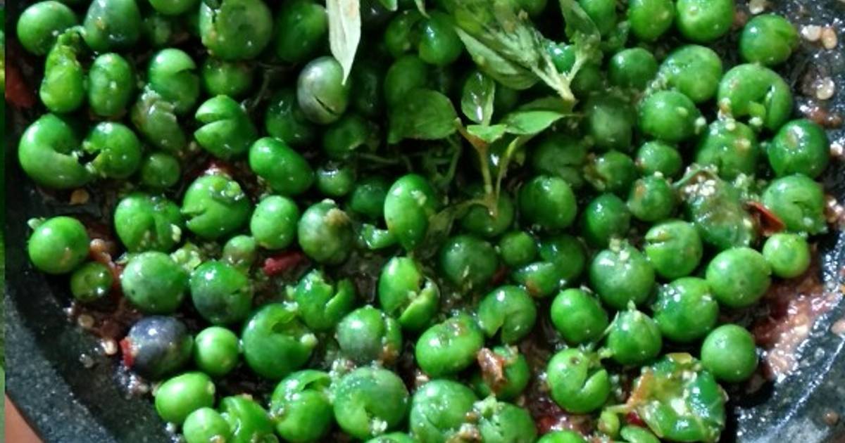 33 resep pencok leunca enak dan sederhana - Cookpad