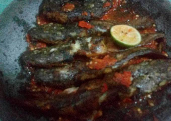 Resep Lele penyet sambel jeruk oleh siti muryani - Cookpad