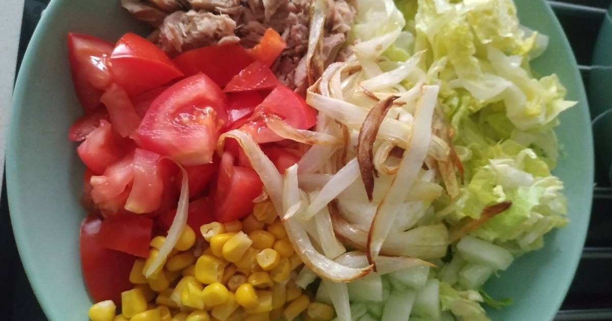 55 recetas muy ricas de comidas diarias compartidas por cocineros ...