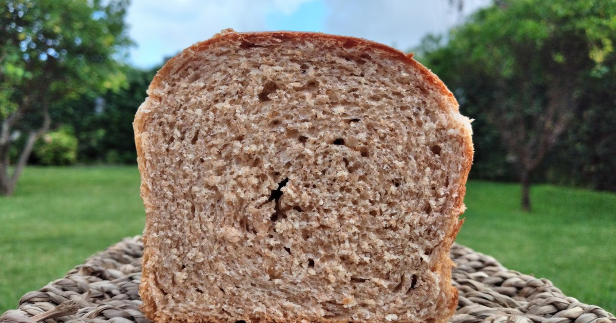 Pan Lactal Integral Receta de Darma 🌻- Cookpad