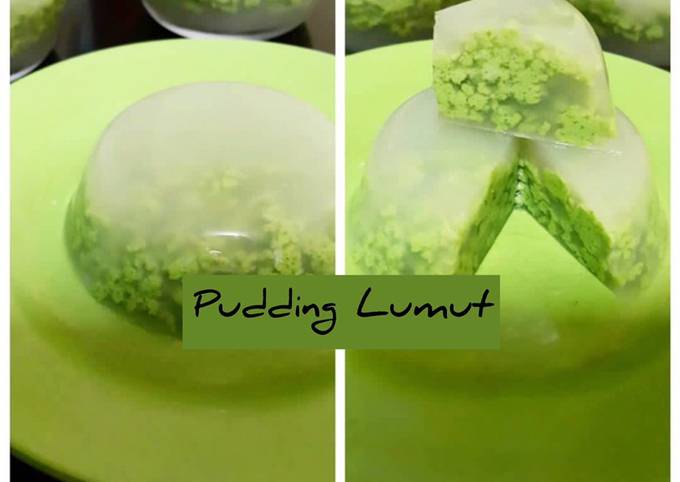 Resep Pudding Lumut oleh The Erlims’ Meal - Cookpad