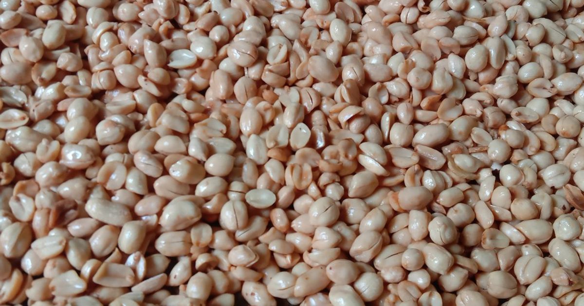 Resep Kacang Bawang Renyah Dan Empuk Tanpa Santan oleh Mama Kafa - Cookpad