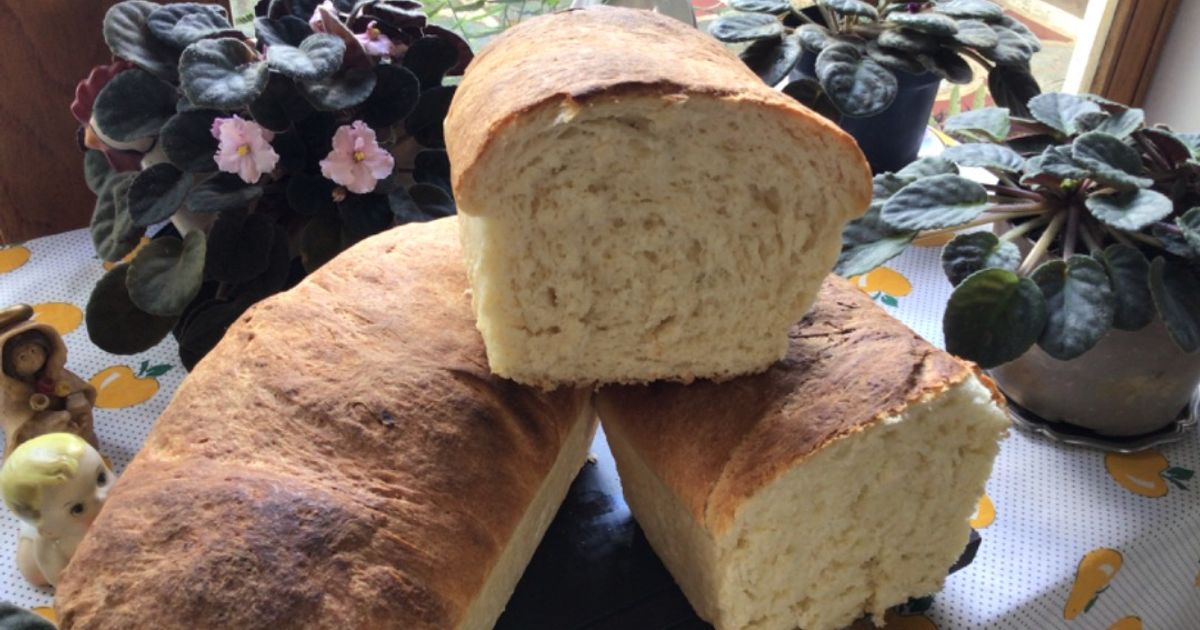 Pan Blanco Básico Receta de Rosa Padrón Argentó- Cookpad