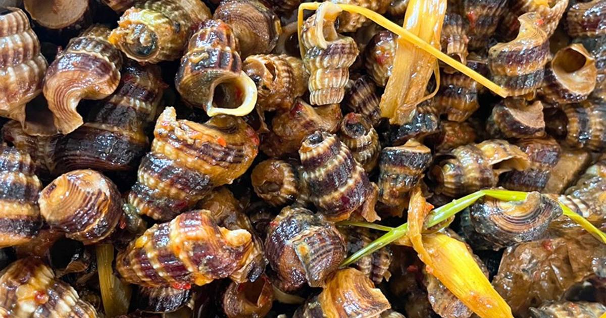 28 resep siput sedot enak dan mudah - Cookpad