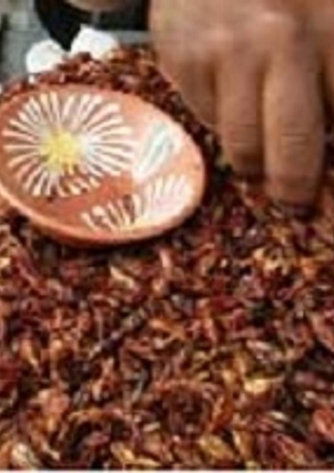 Salsa de jumiles Receta de fans-laura-esquivel- Cookpad