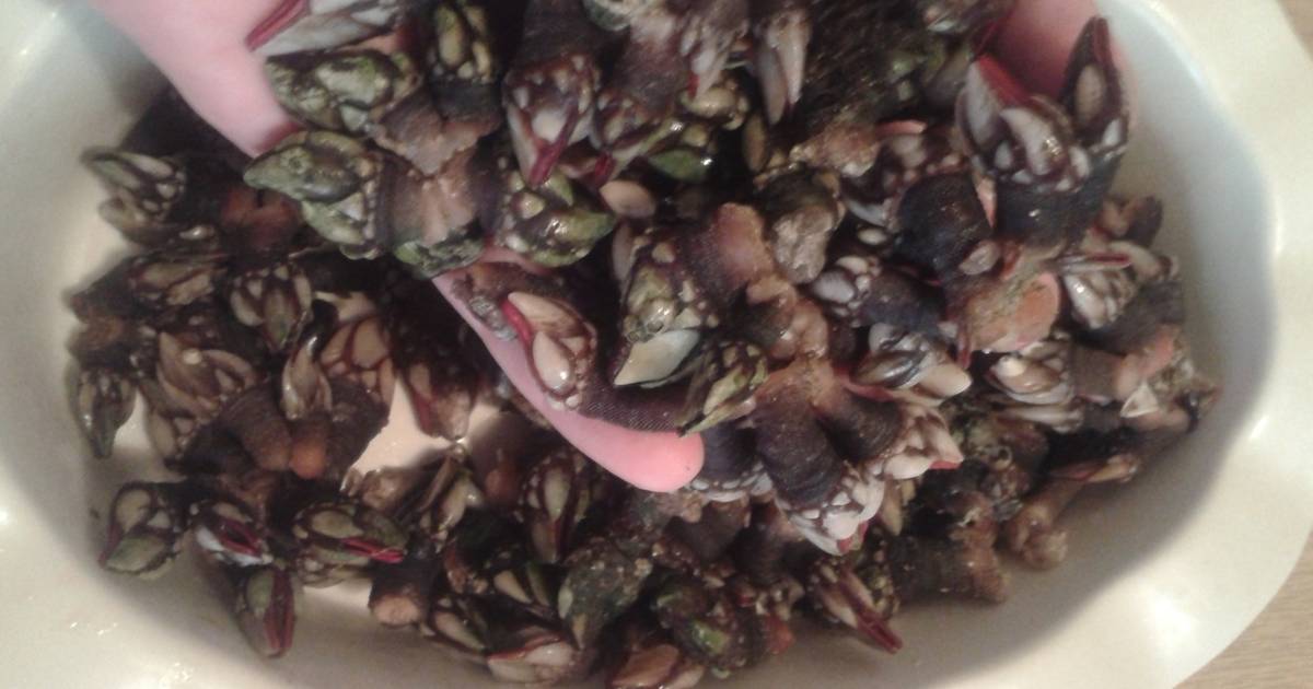 Cocer percebes Receta de M.Jose- Cookpad