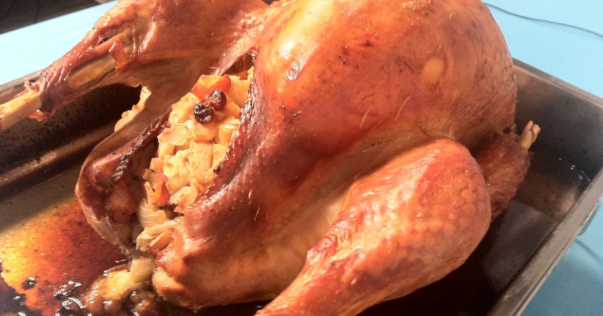 Sorprende con recetas innovadoras de colitas de pavo