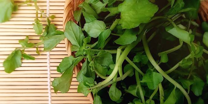 5 cara untuk mengolah Selada Air - Cookpad