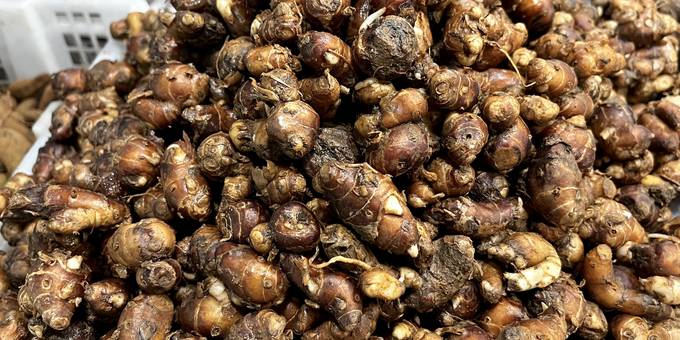 5 cara untuk mengolah Kencur - Cookpad