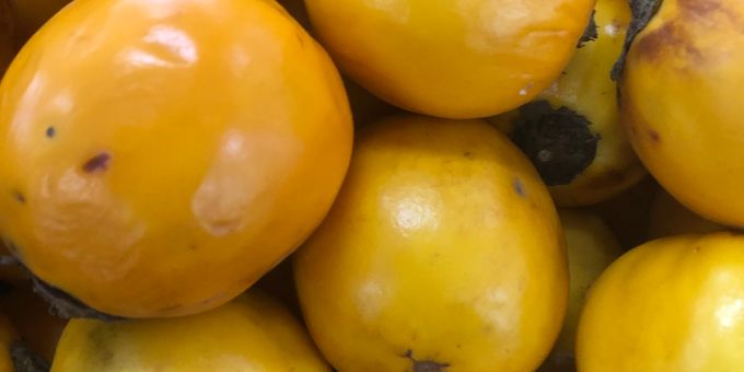 4 cara untuk memasak Terung Asam - Cookpad