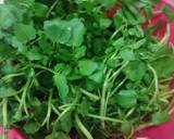 Resep Jukut Goreng (Rumput Goreng) oleh Ina Permana - Cookpad