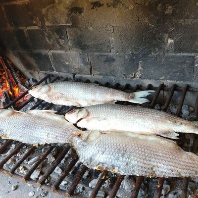 Pescado Asado Al Fuego 10,022 Pescado Entero La Parrilla Fotos De