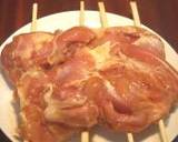 Coco's Crazy Microwave Oven Teriyaki Chicken Recipe by COCO's Oriental ...