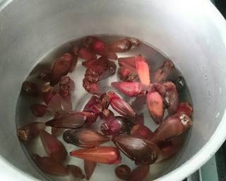 Pinhão cozido na panela de pressão Receita por Luciano - Cookpad