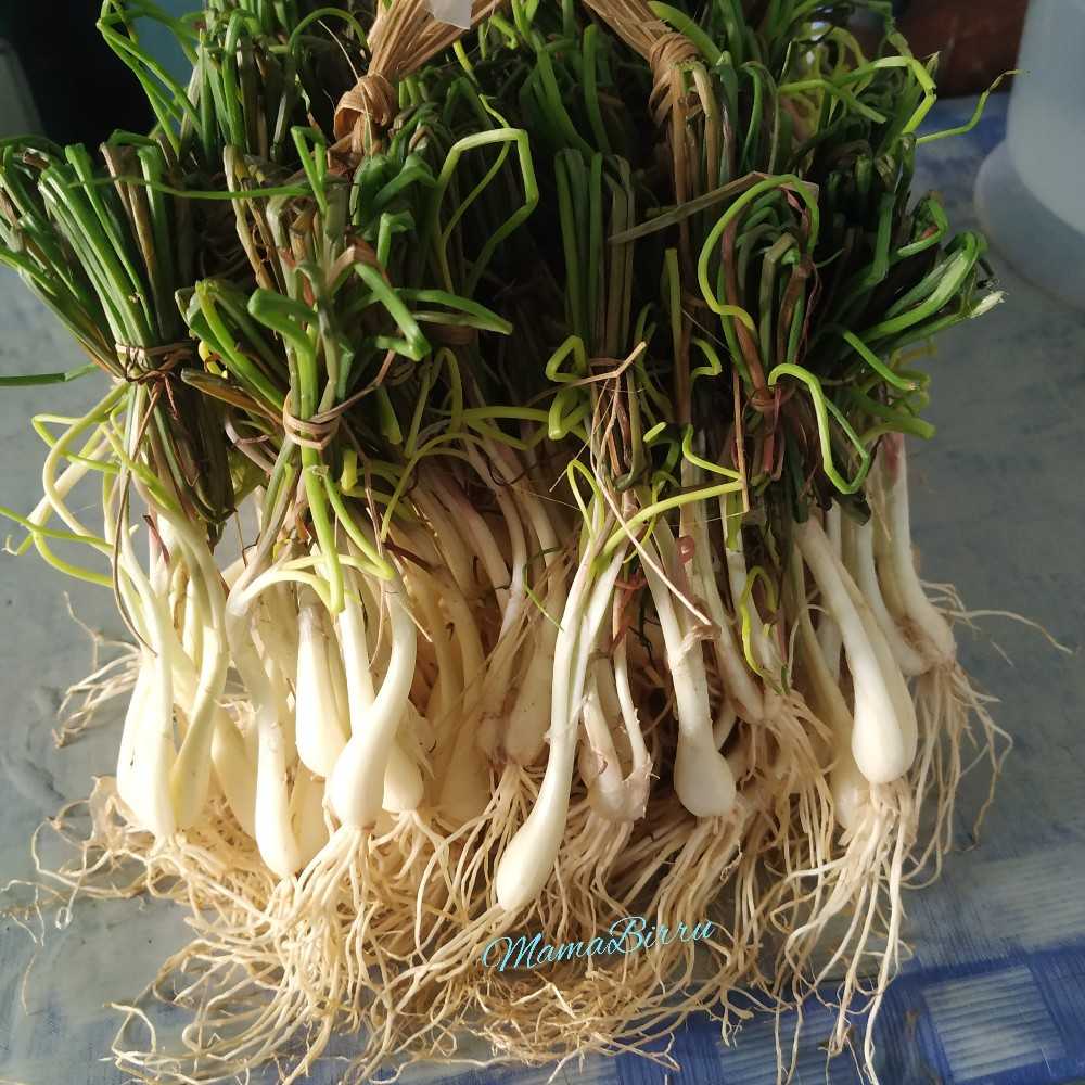 Resep Lengkio Pedas Khas Betawi Tangerang oleh Hayati MS - Cookpad